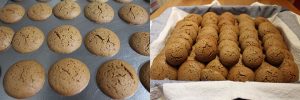 Galletas de Miel (Broas de Mel) - Dulcemente Majita